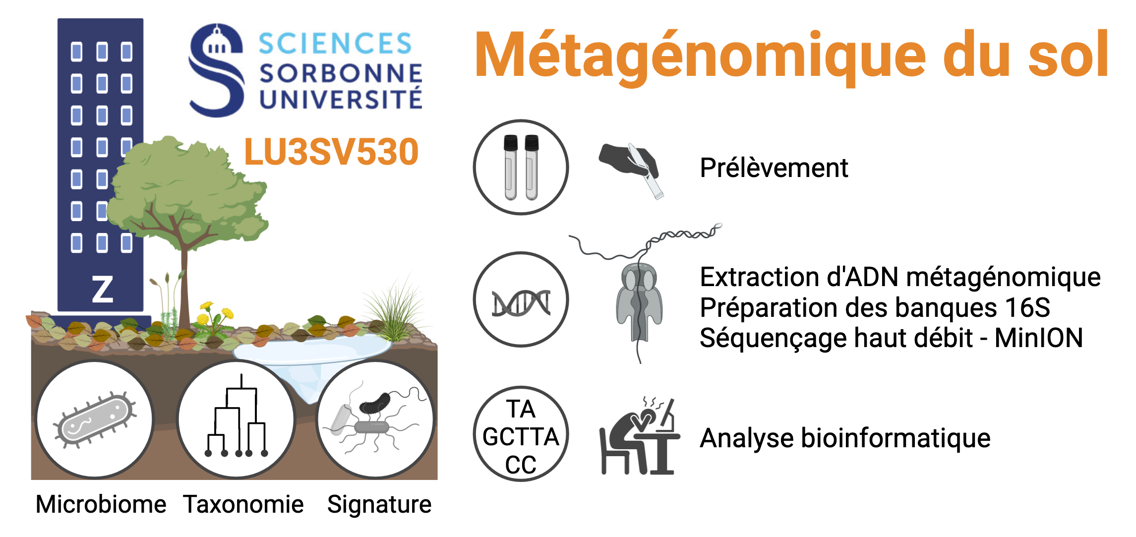 Résumé de Métagénomique et séquençage haut débit - S1-24 | Moodle ...